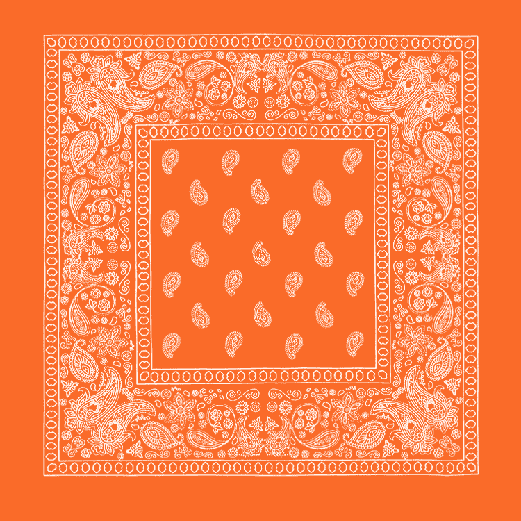 Neon Orange Bandana