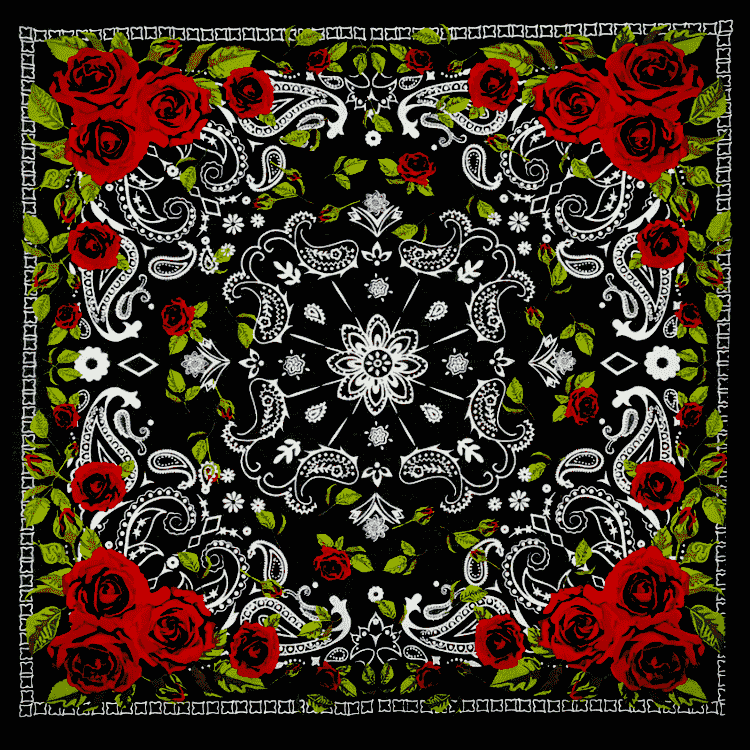 Ravens Bandana